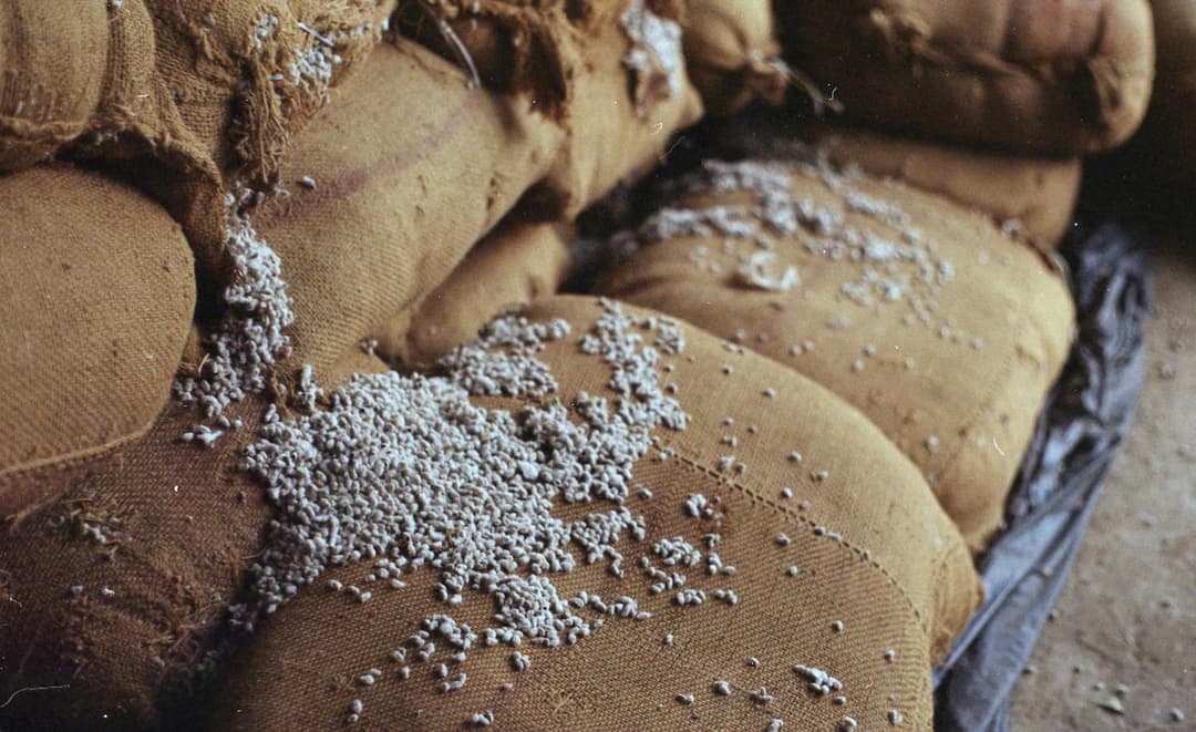 The Very Good Bra - Sustainability Rating - Good On You